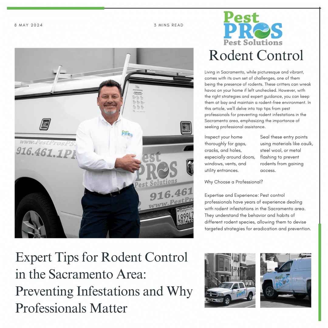 Expert Tips for Rodent Control in the Sacramento area: Preventing ...