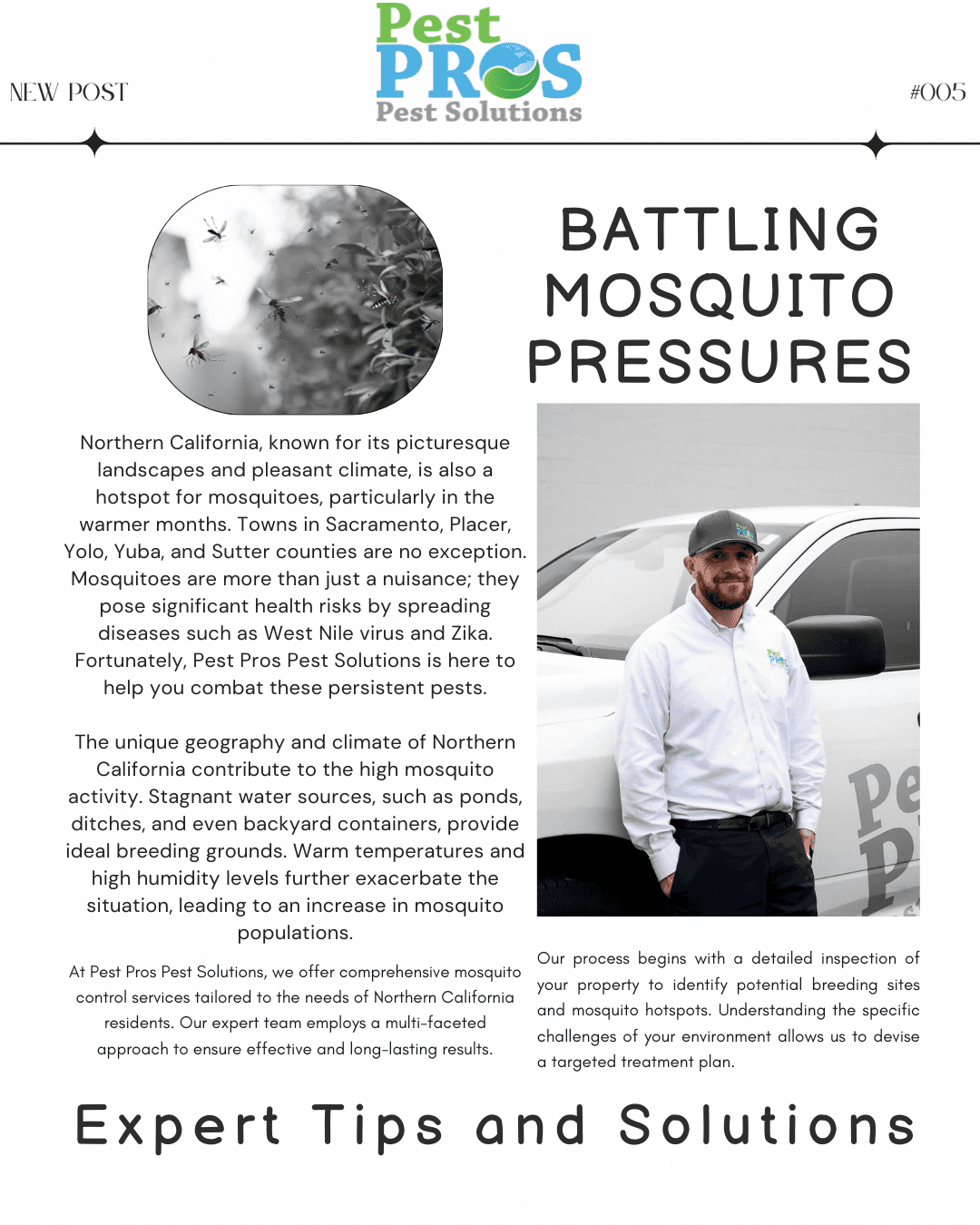 Battling Mosquito Pressures in Northern California: Expert Tips and ...