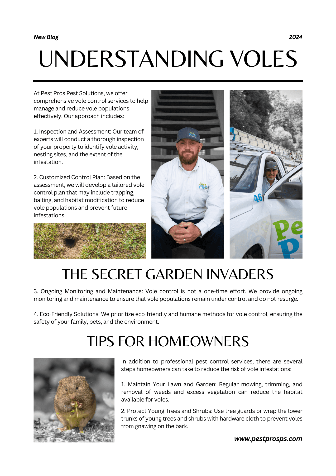 Understanding Voles: The Secret Garden Invaders